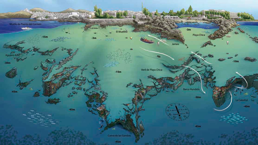 Best Diving Spots in Lanzarote - A Scuba Diver's Paradise | Scuba Legends